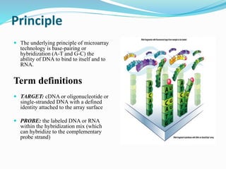 Microarray technology, biochip, DNA chip | PPTX