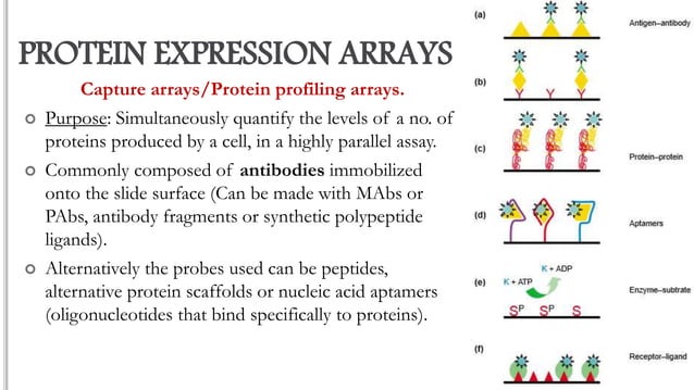 microarraytechnologyandapplications-180925002308.pdf