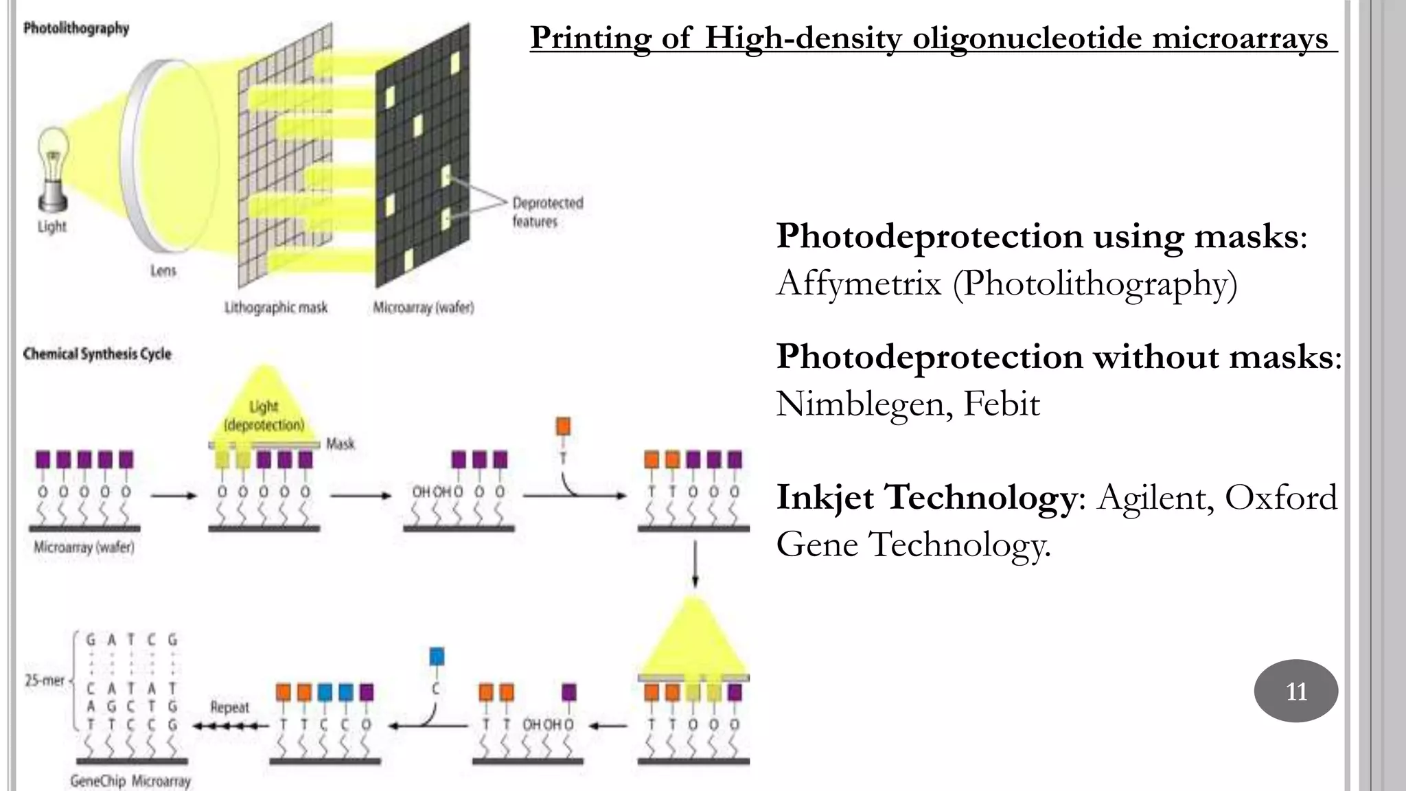 Microarray technology and applications | PPTX