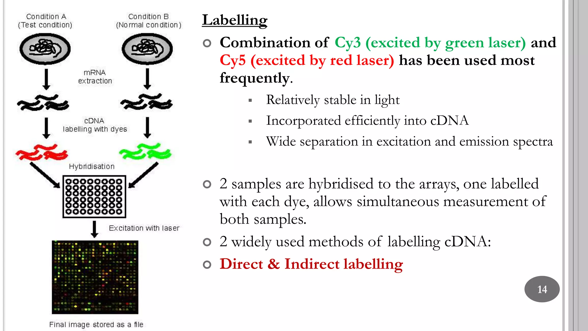 Microarray technology and applications | PPTX