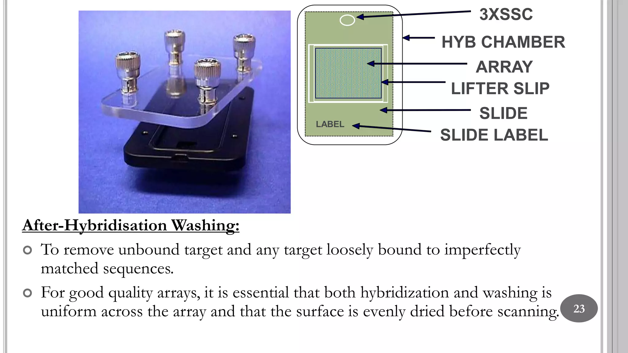 Microarray technology and applications | PPTX