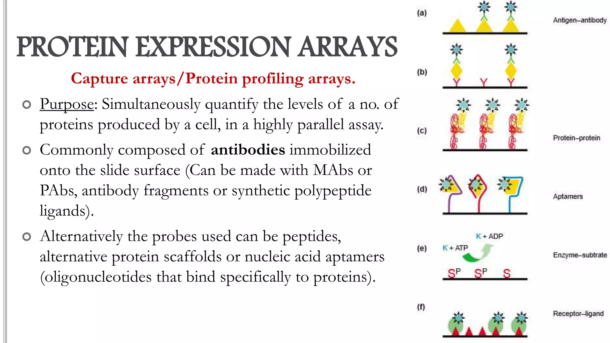 Microarray technology and applications | PPTX