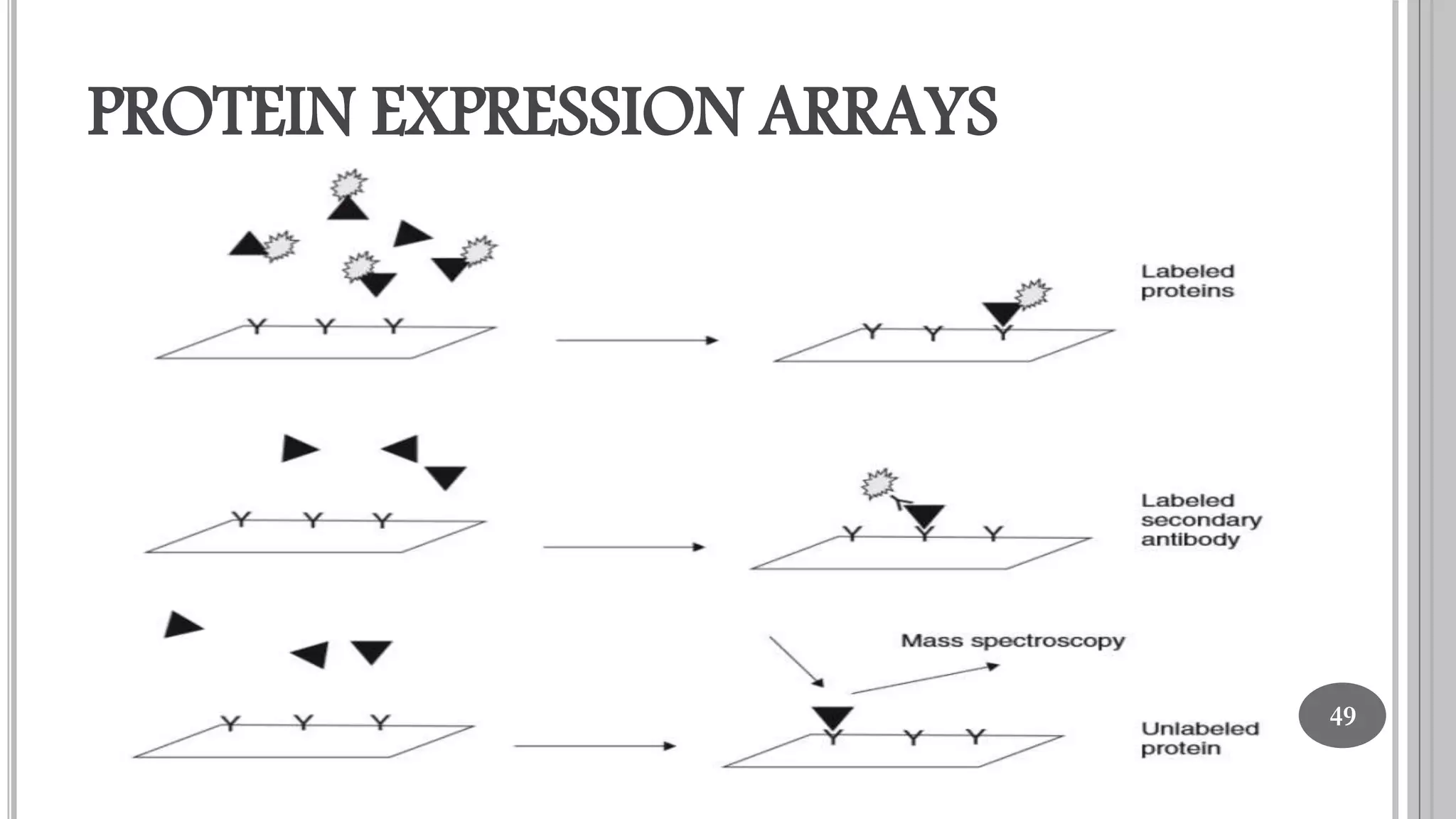 Microarray technology and applications | PPTX