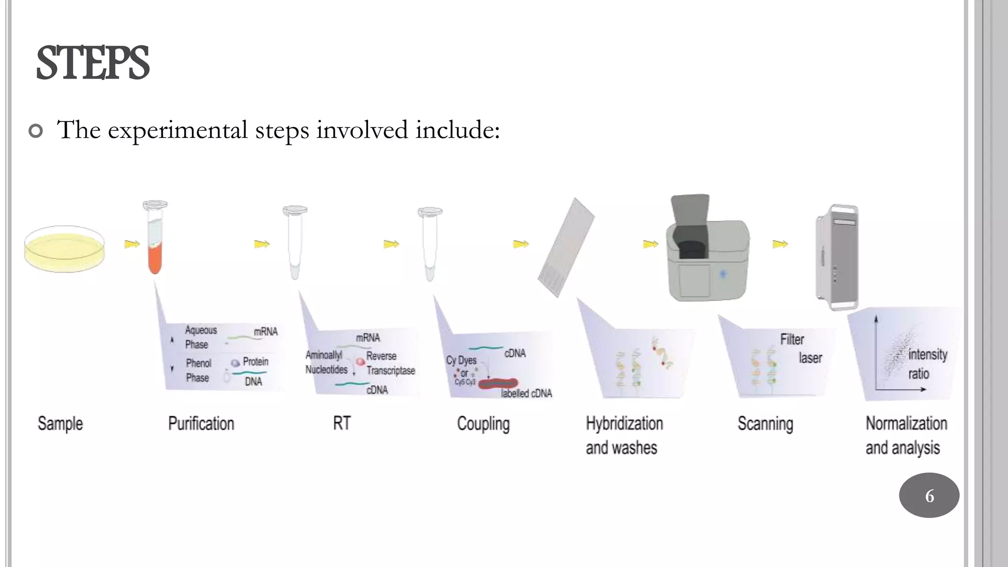 Microarray Technology And Applications Pptx