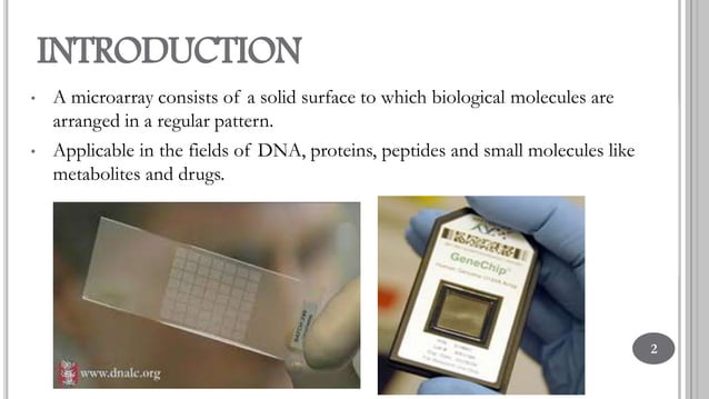 Microarray technology and applications | PPTX