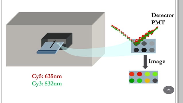 Microarray technology and applications | PPTX