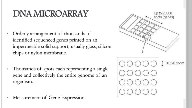 Microarray technology and applications | PPTX