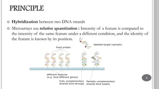 Microarray technology and applications | PPTX
