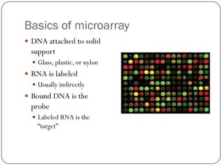 Microarray @ujjwal sirohi | PPT