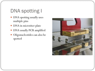 Microarray @ujjwal sirohi | PPT