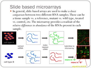 Microarray @ujjwal sirohi | PPT