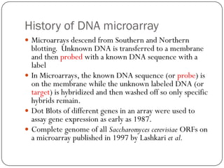 Microarray @ujjwal sirohi | PPT
