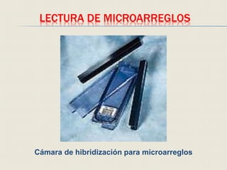 Microarreglos de dna completa | PPT