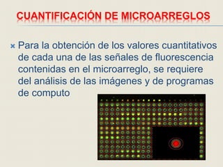 Microarreglos de dna completa | PPT