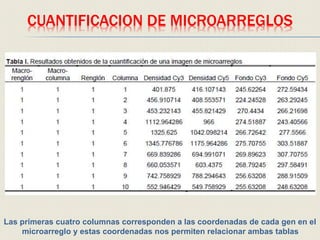 Microarreglos de dna completa | PPT