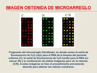 Microarreglos de dna completa | PPT