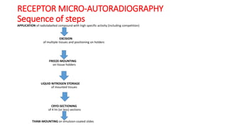 Micro autoradiography pptx | PPTX