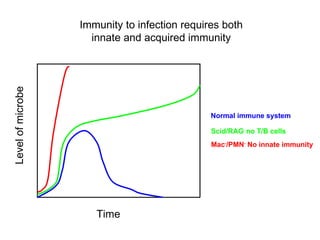 Microb Immunity | PPT