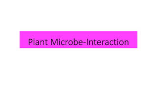 Microbial-plant interaction in the environment | PPTX