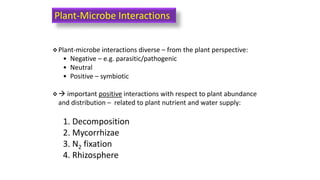 Microbial-plant interaction in the environment | PPTX