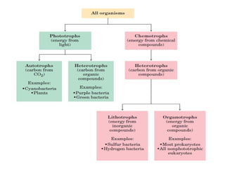 Microbial Biochemistry Practical view | PPT