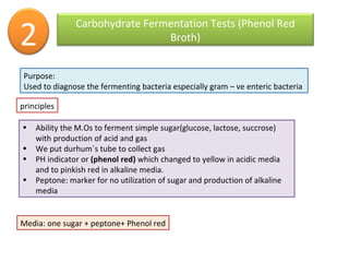 Microbial Biochemistry Practical view | PPT
