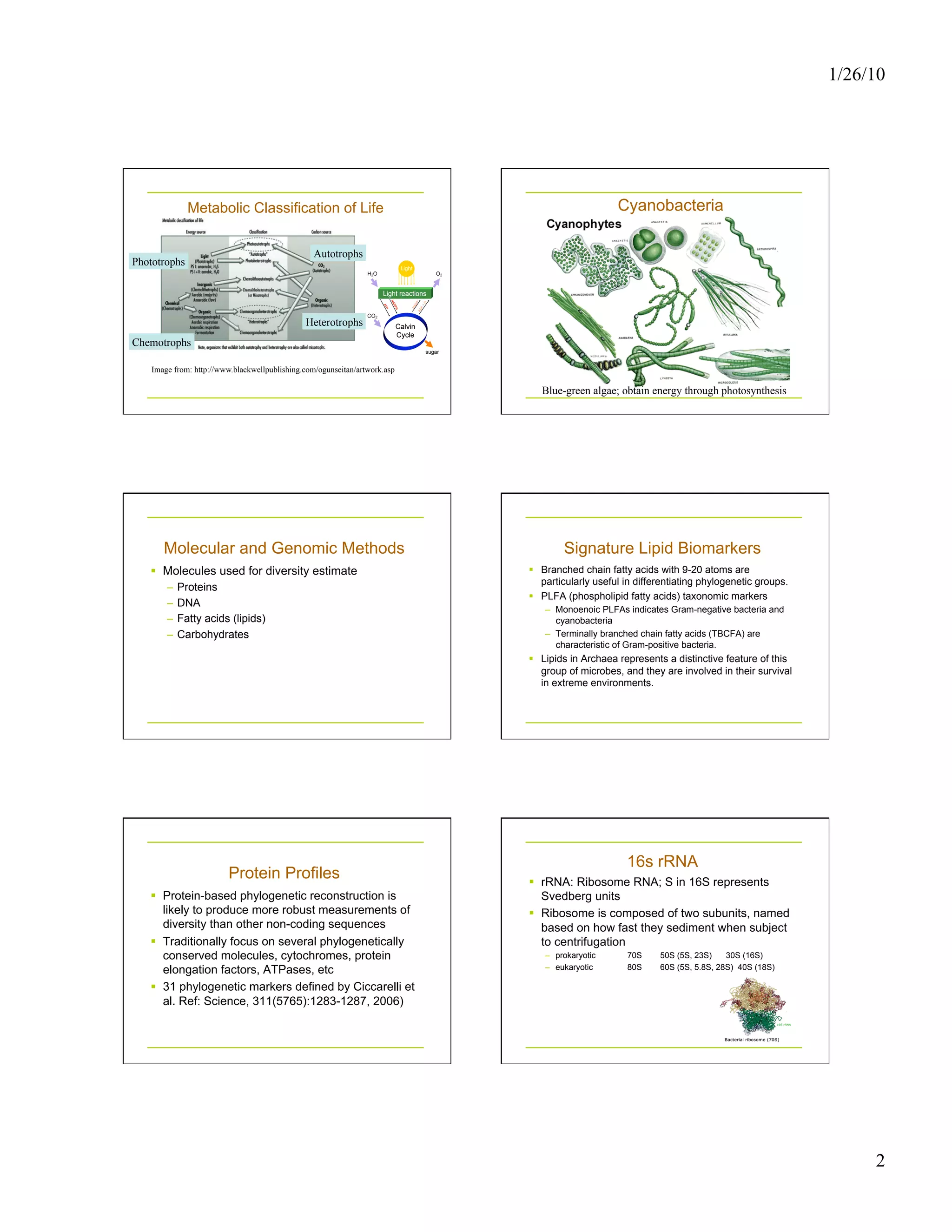 Microbe diversity-handout | PDF