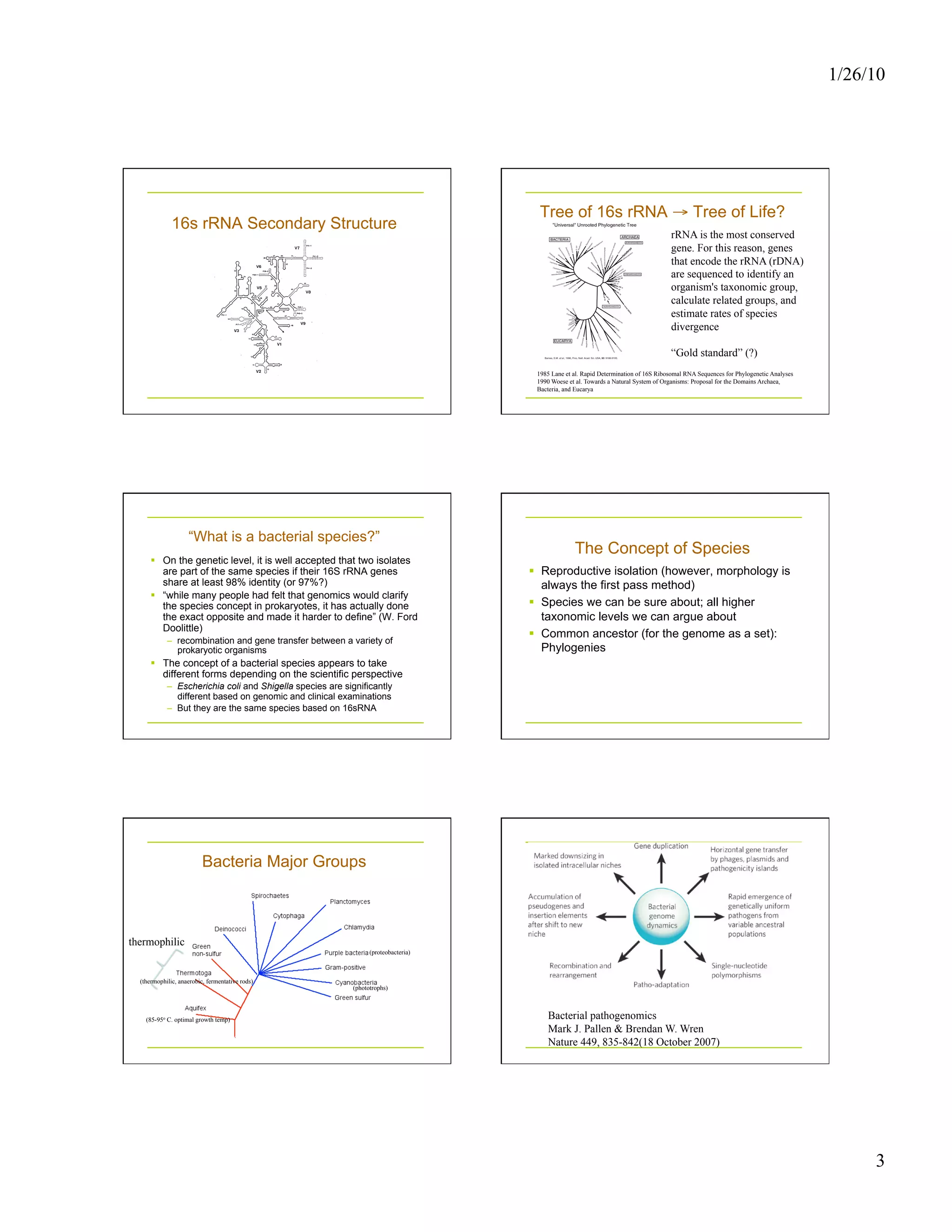 Microbe diversity-handout | PDF