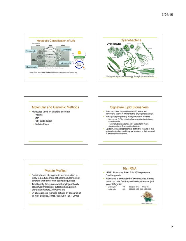 Microbe diversity-handout | PDF