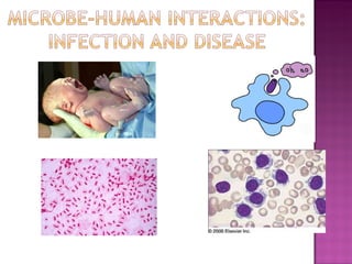 Microbe human interaction | PPT