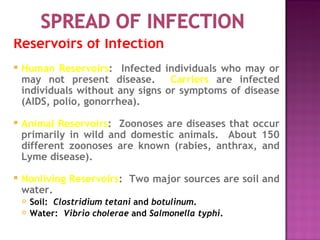 Microbe human interaction | PPT