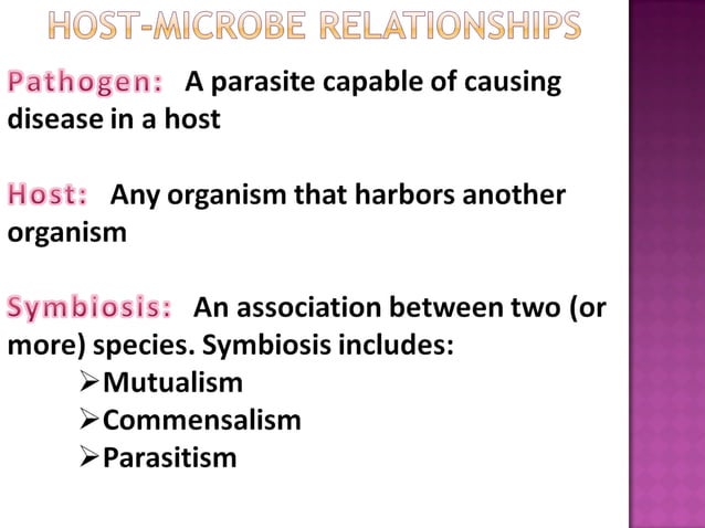 Microbe human interaction | PPT | Digestive Disorders | Diseases and ...