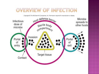 Microbe human interaction | PPT