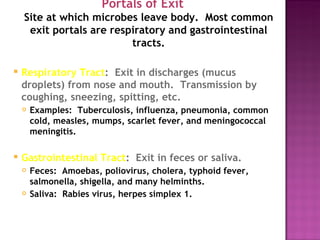 Microbe human interaction | PPT