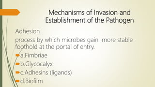 Microbe-Human Interactions: Infection and Disease | PPT