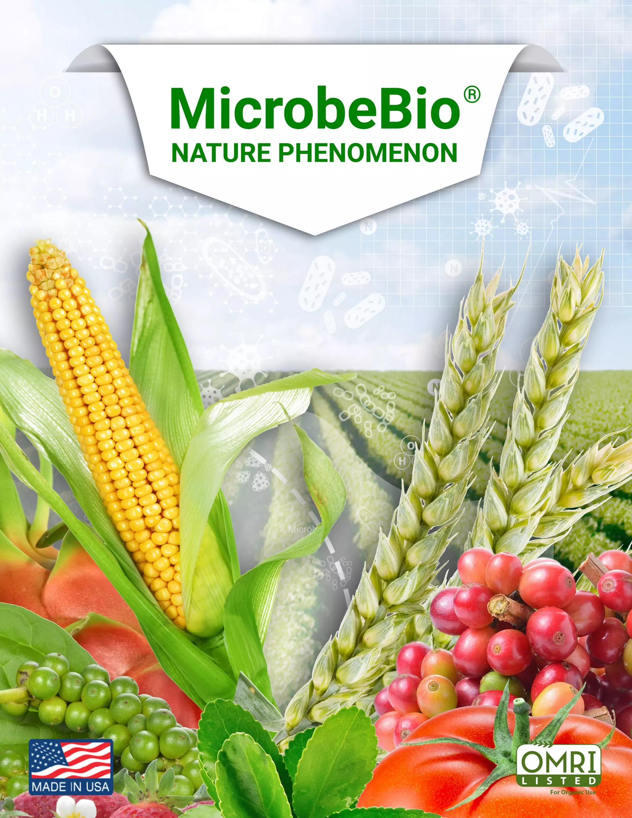 Microbebio short cut - whole booklet | PDF