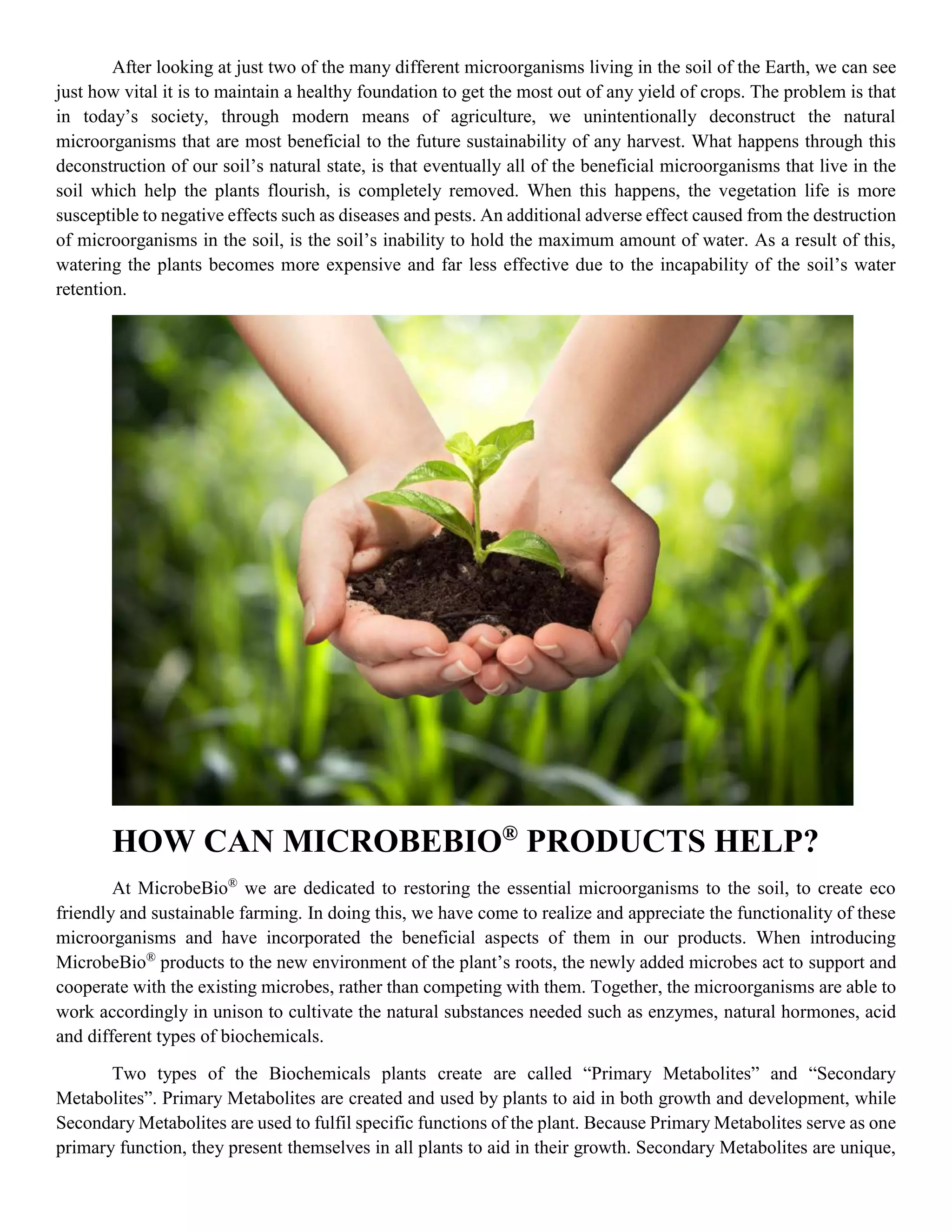 Microbebio short cut - whole booklet | PDF