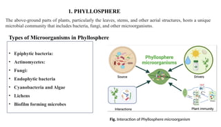 Plant microbiome and plant disease resistance | PPTX