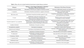 Plant microbiome and plant disease resistance | PPTX