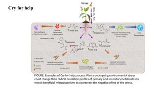 Plant microbiome and plant disease resistance | PPTX