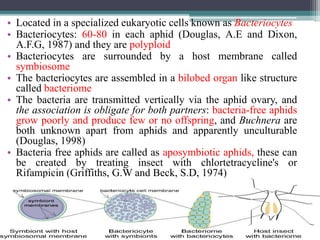 Microbe mediated reistance in insects | PPT