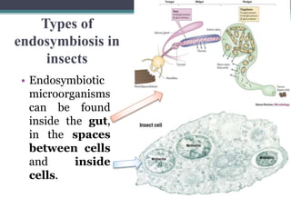 Microbe mediated reistance in insects | PPT