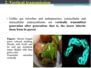 Microbe mediated reistance in insects | PPT
