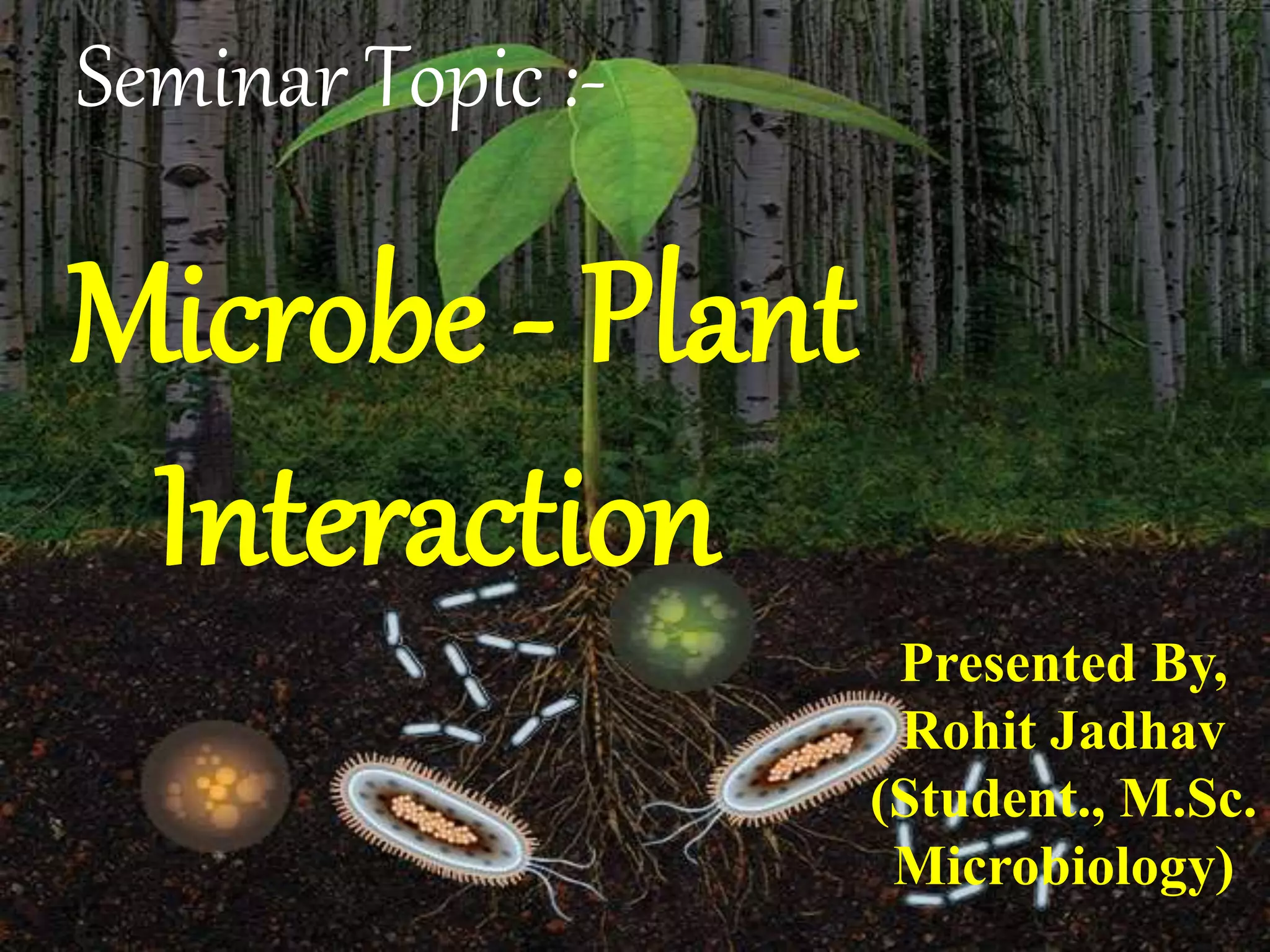 Microbe plant interaction | PPTX