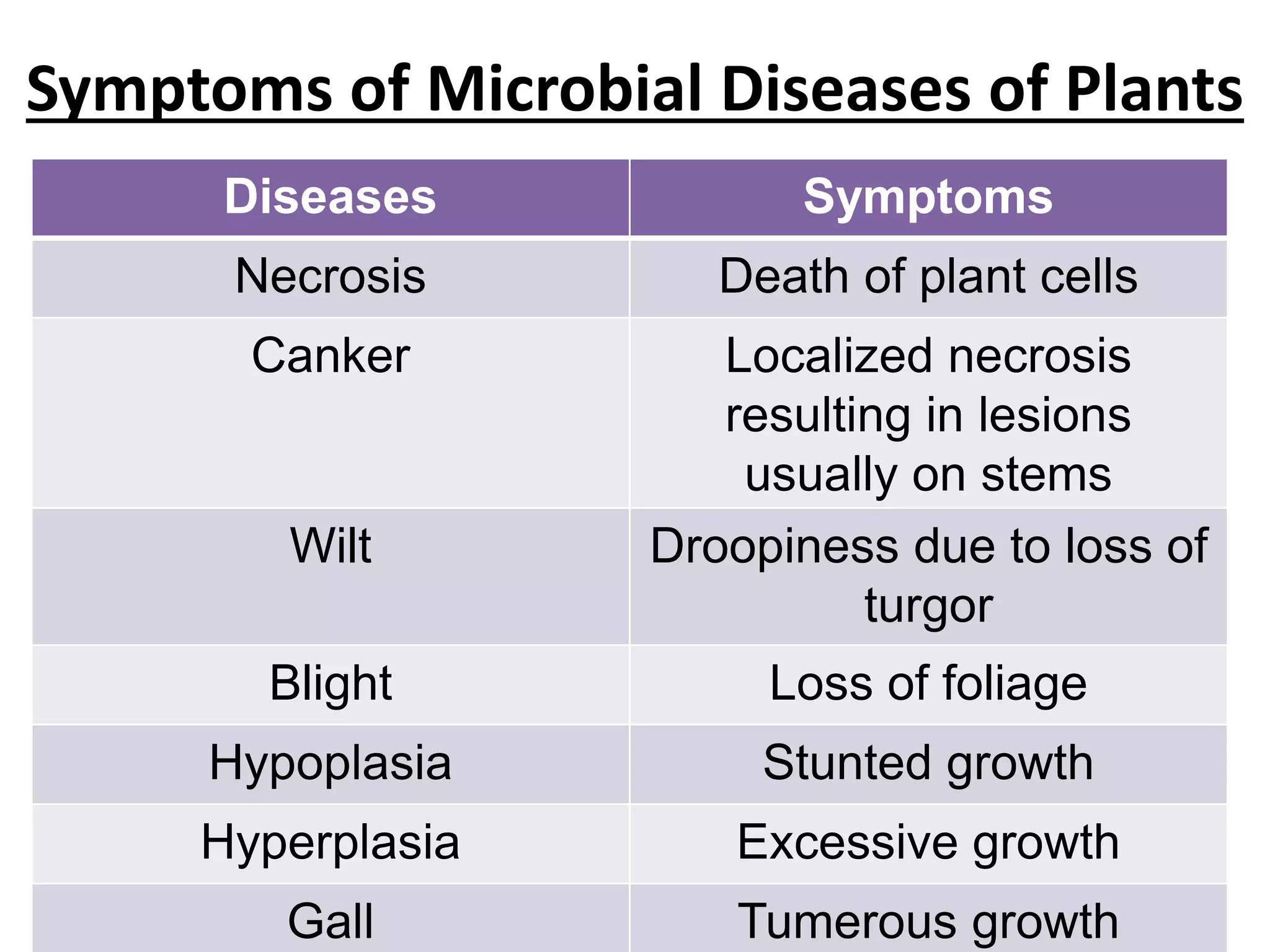 Microbe plant interaction | PPTX