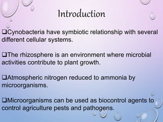 Microbe plant interaction | PPTX