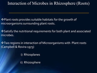 Microbe plant interaction | PPTX