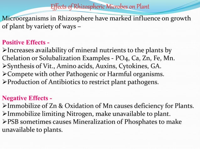 Microbe plant interaction | PPTX