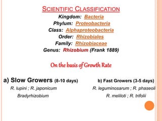 Microbe plant interaction | PPTX