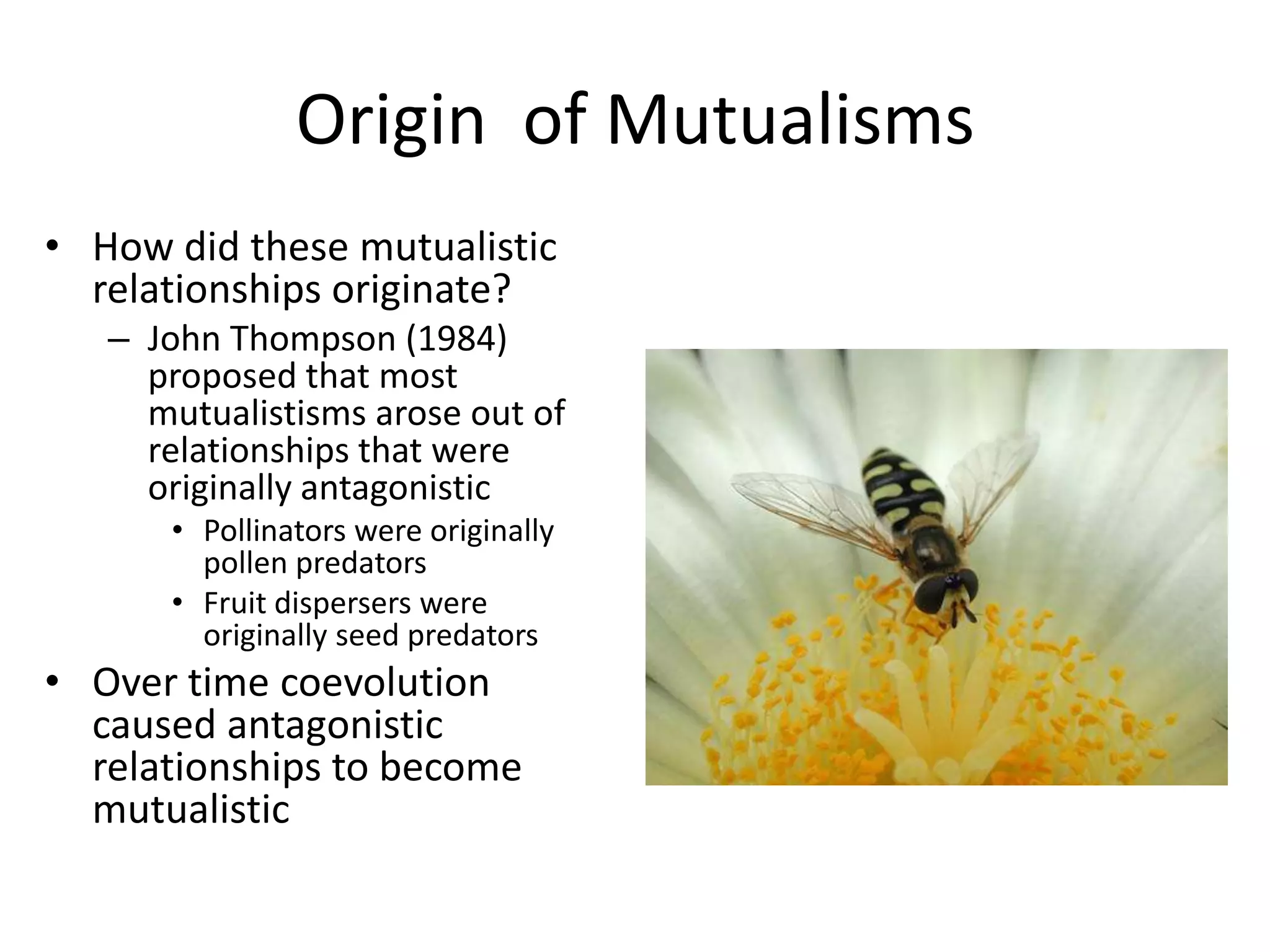 Microbe Plant Mutalisms- Rhizobia/Legumes | PPTX